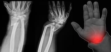 media(MediaArchive:40751baf-efeb-4af5-bbb1-6fd51d1b4033)